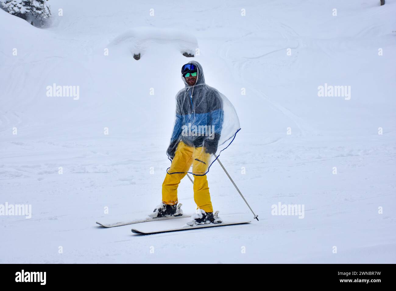A skier is seen in action during a heavy snowfall in Gulmarg, a world ...
