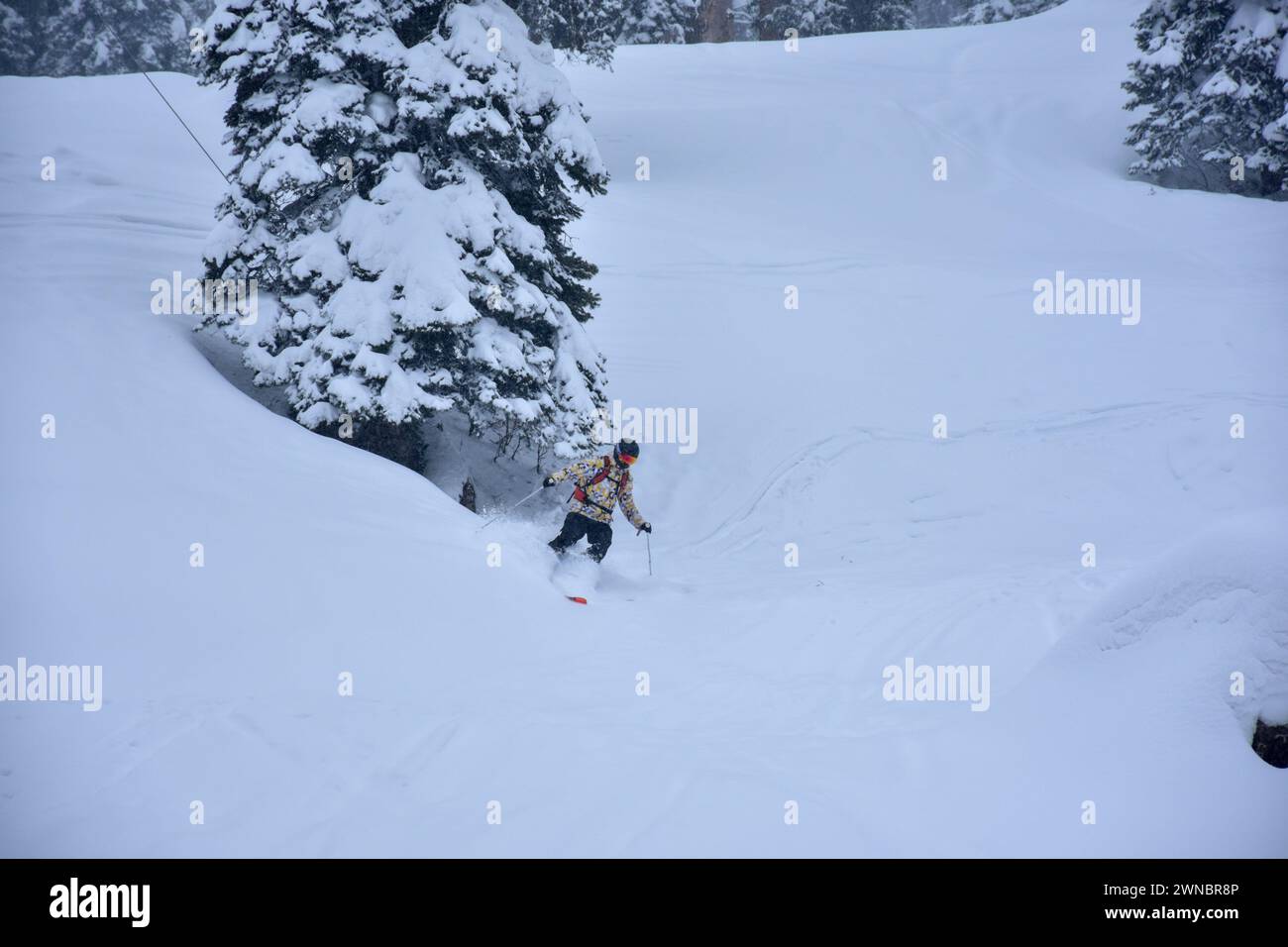 A skier is seen in action during a heavy snowfall in Gulmarg, a world ...