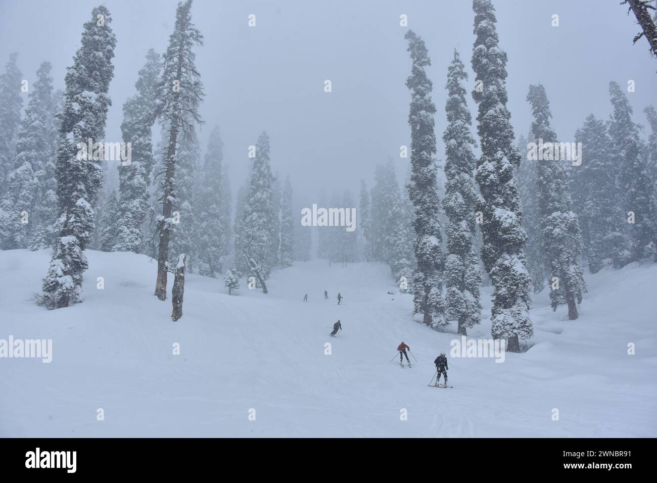 Skiers are seen in action during a heavy snowfall in Gulmarg, a world ...
