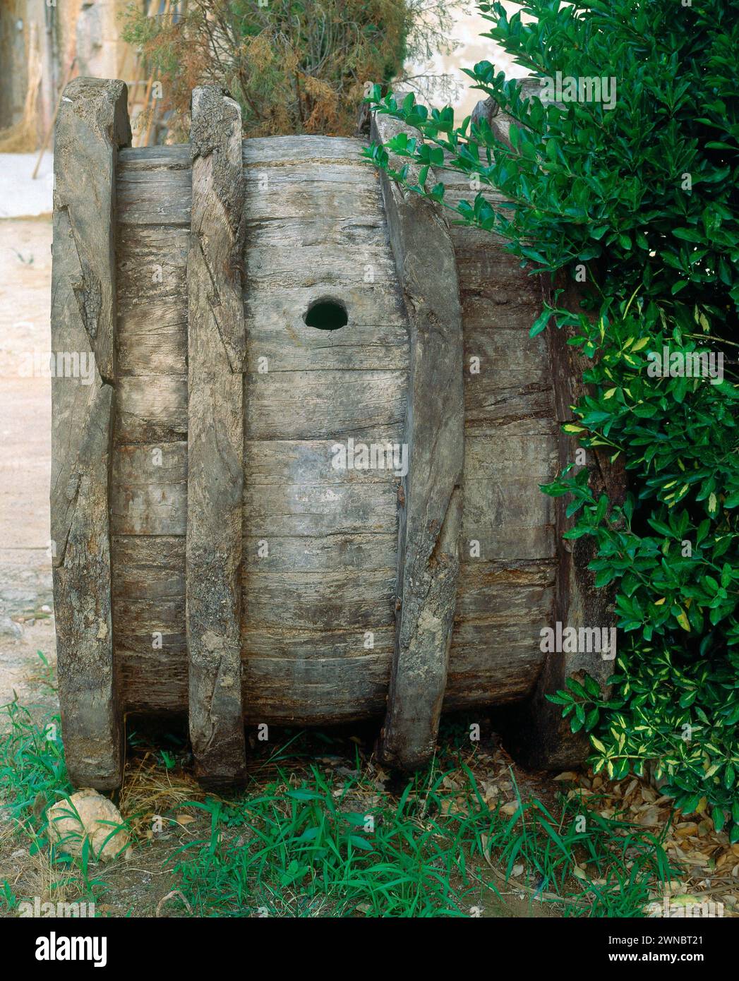 Crianza exterior hi-res stock photography and images - Alamy