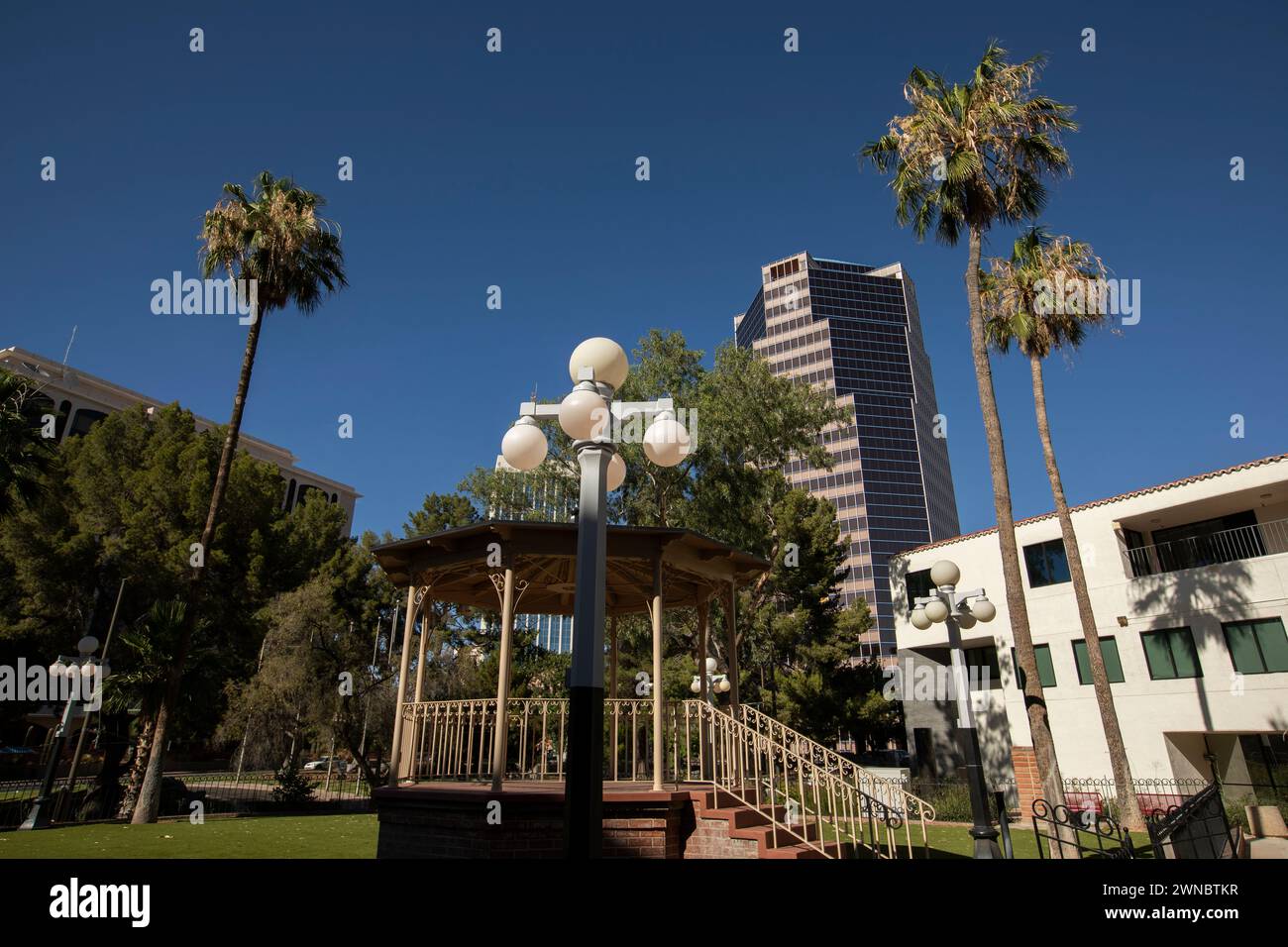 Afternoon view of palm trees framing the downtown skyline of Tucson ...