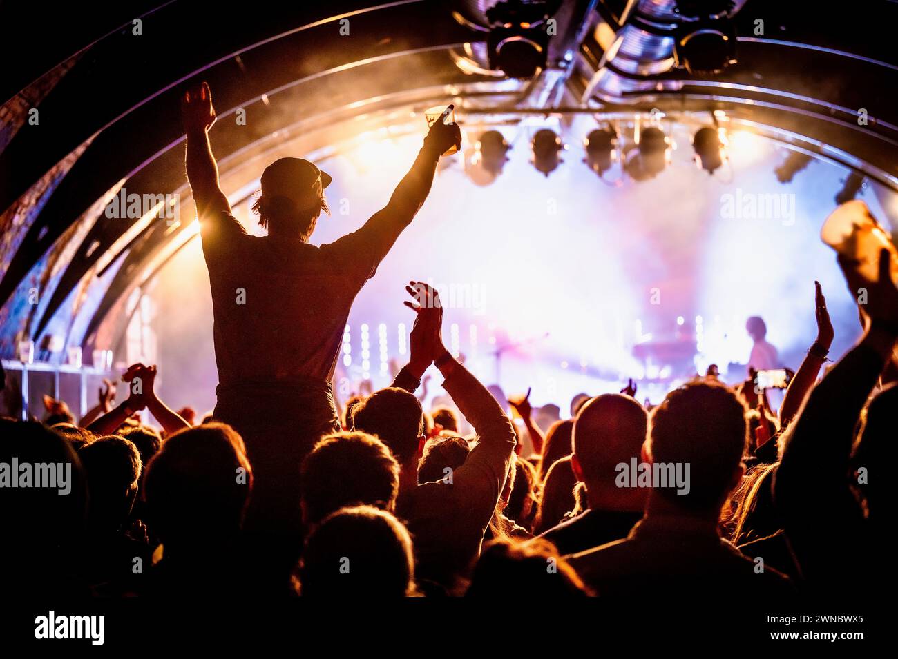 Audience at a live concert Stock Photo - Alamy