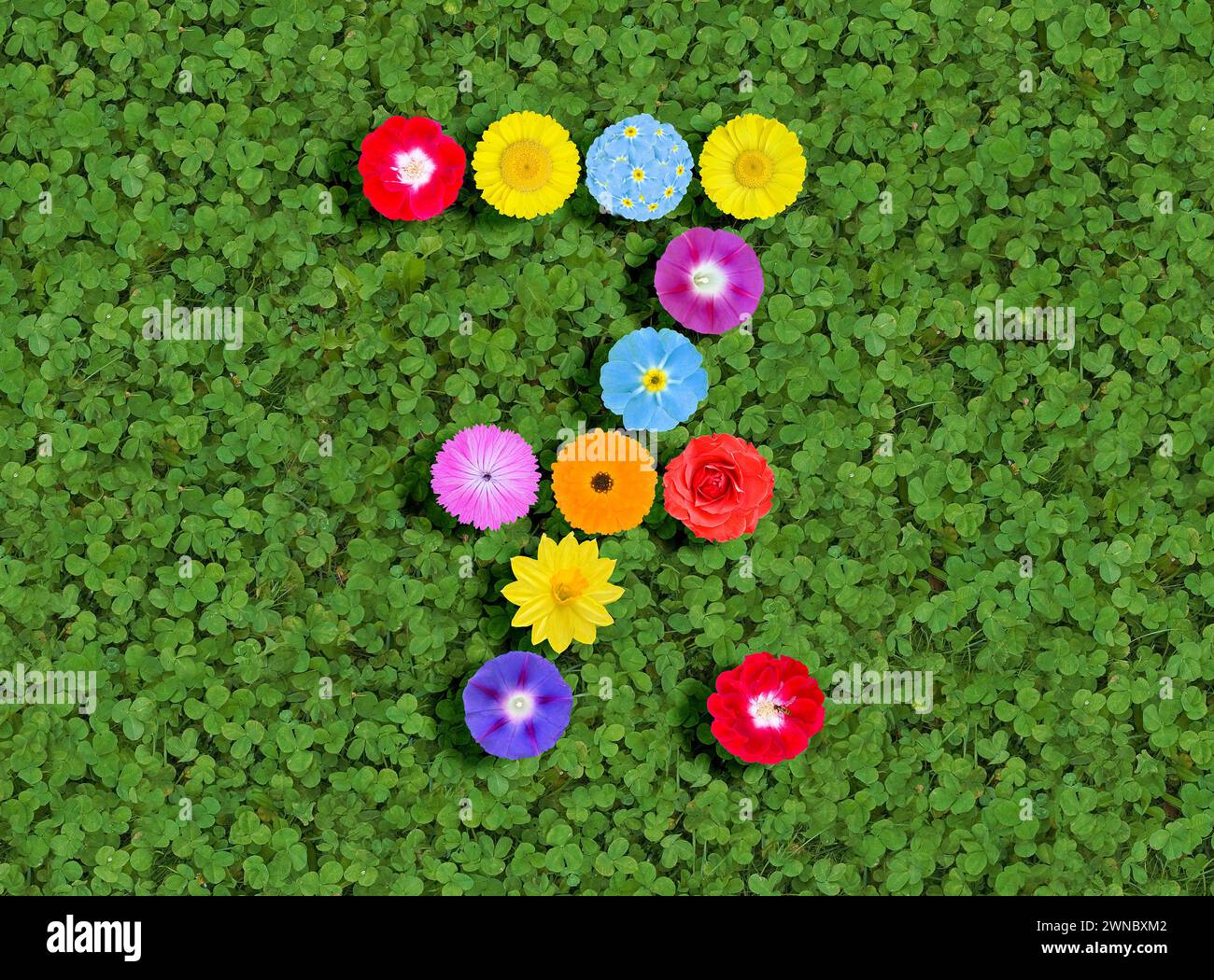 number written with colorful flowers on green clover background Stock ...