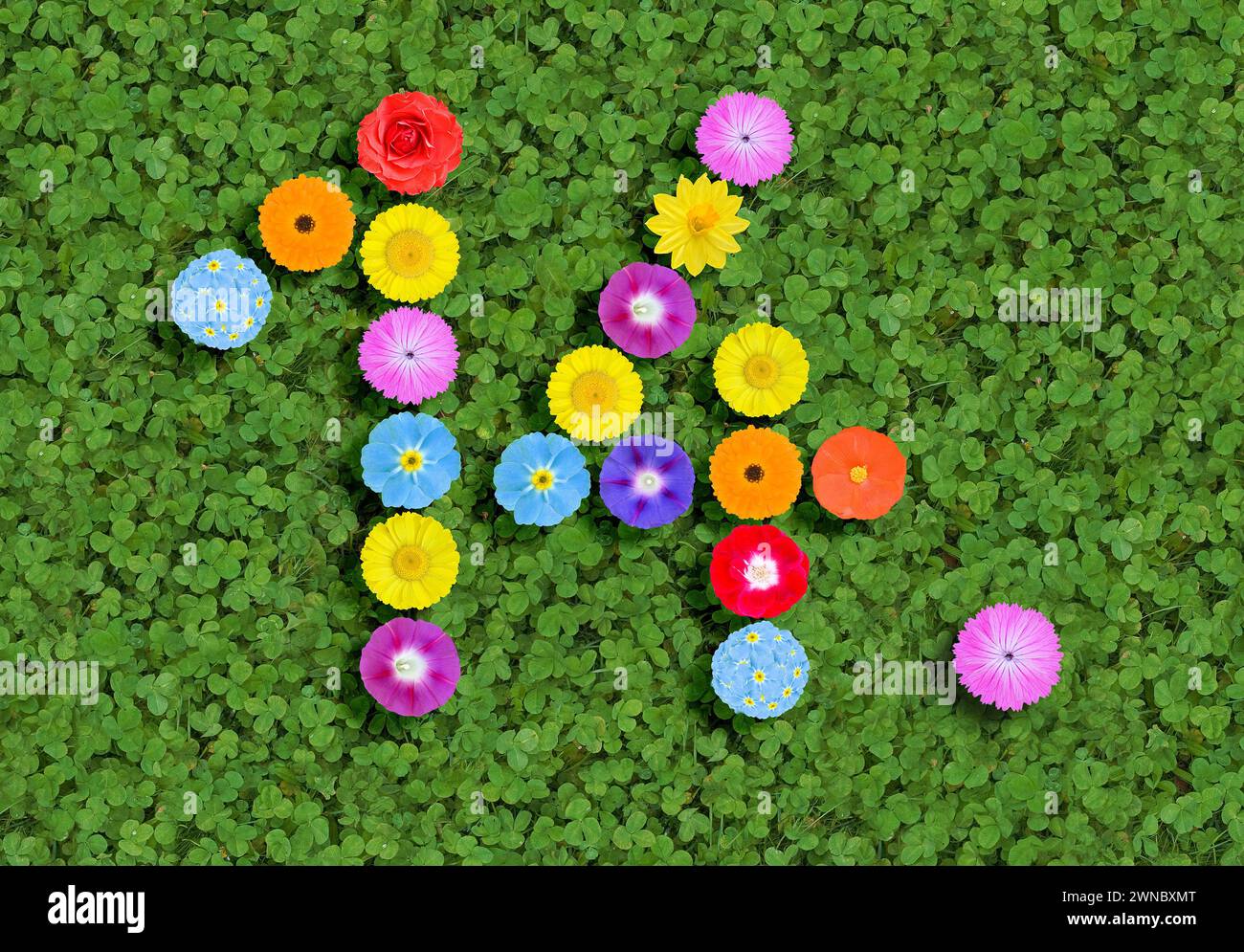 14th anniversary fourteen years hi-res stock photography and images - Alamy