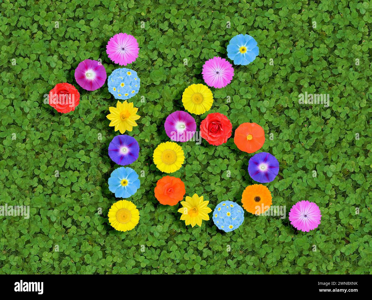 number written with colorful flowers on green clover background Stock ...