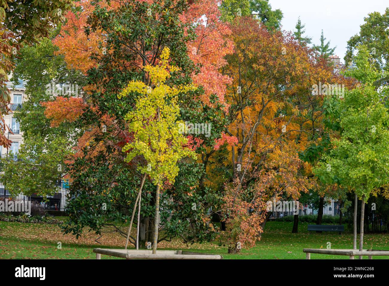 Autumn trees at the Jardin du Luxembourg in Paris, France Stock Photo ...