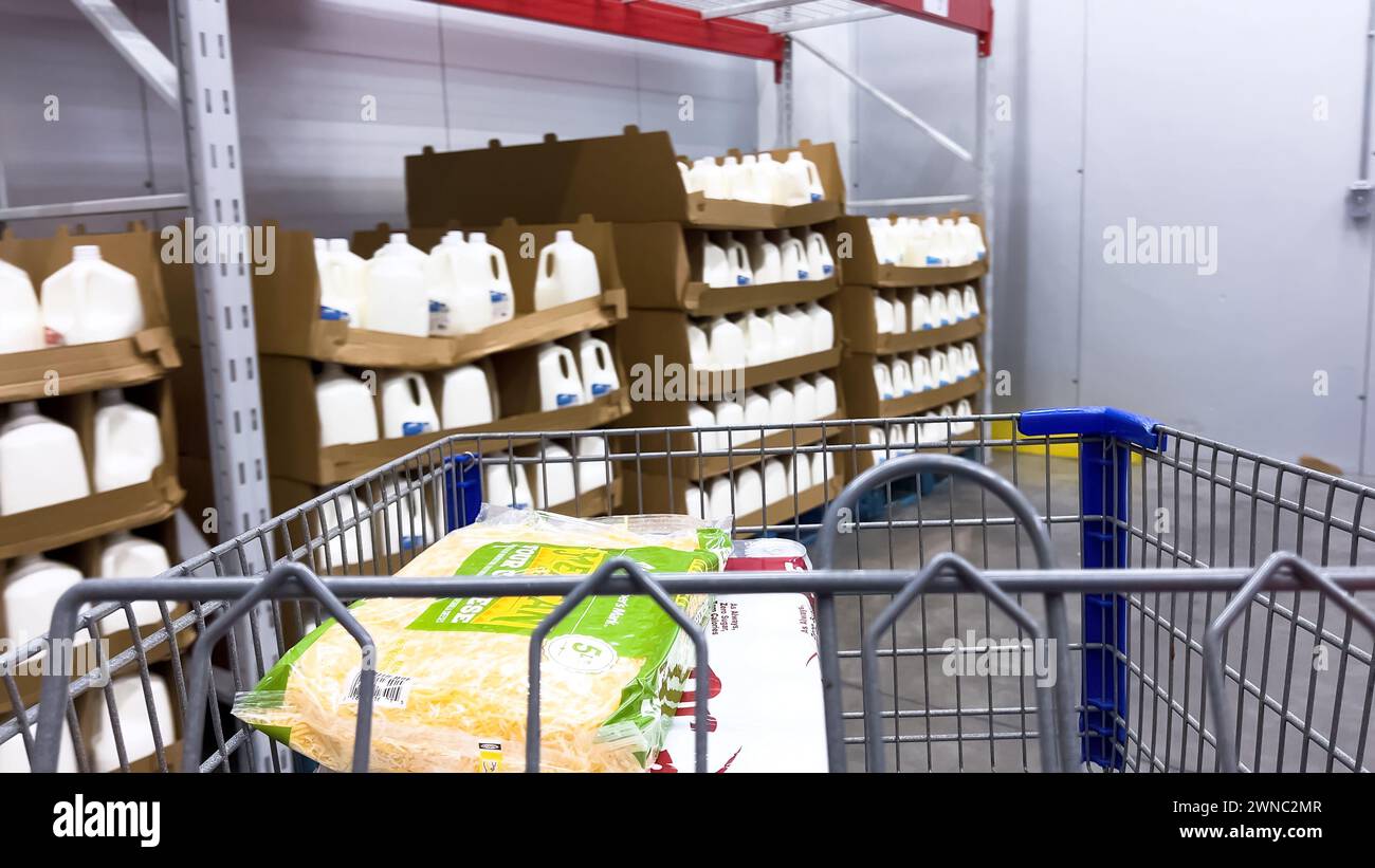 Grocery Shopping Cart Filled with Essentials at Sam’s Club Cold Storage ...