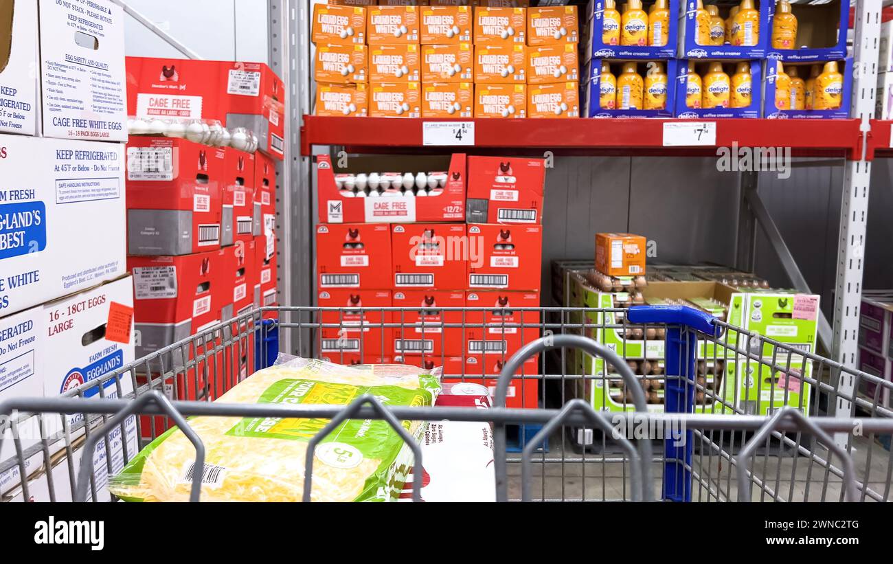 Grocery Shopping Cart Filled with Essentials at Sam’s Club Cold Storage ...