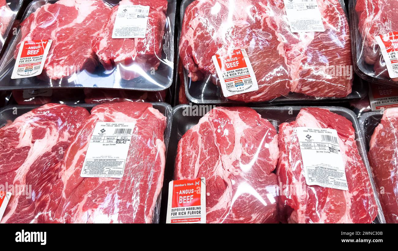 Selection of Premium Angus Beef Steaks on Display at Sam’s Club Stock ...