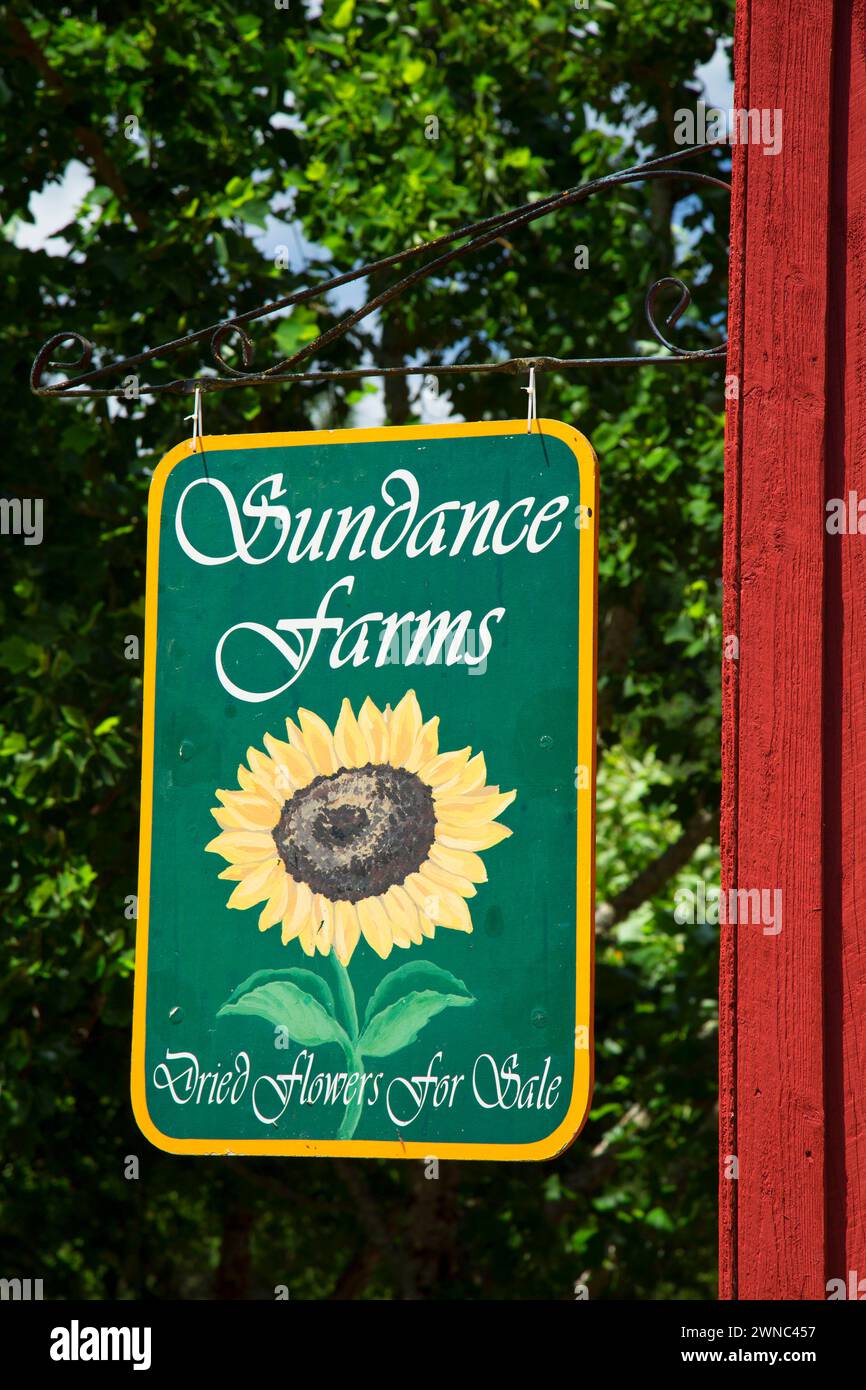 Sunflower farm sign hi-res stock photography and images - Alamy