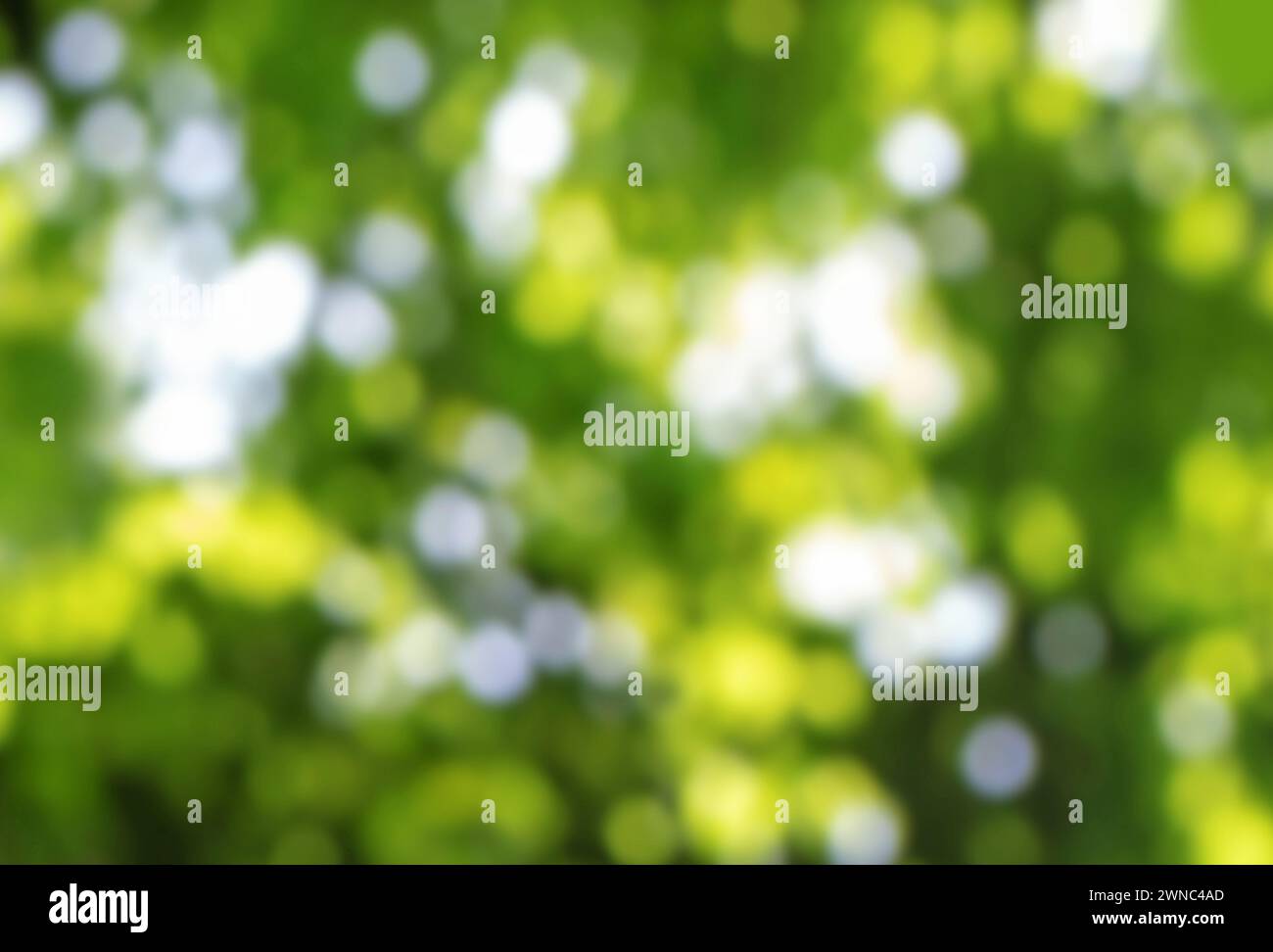 Green blurred summer sparkling nature background. Fresh spring or ...