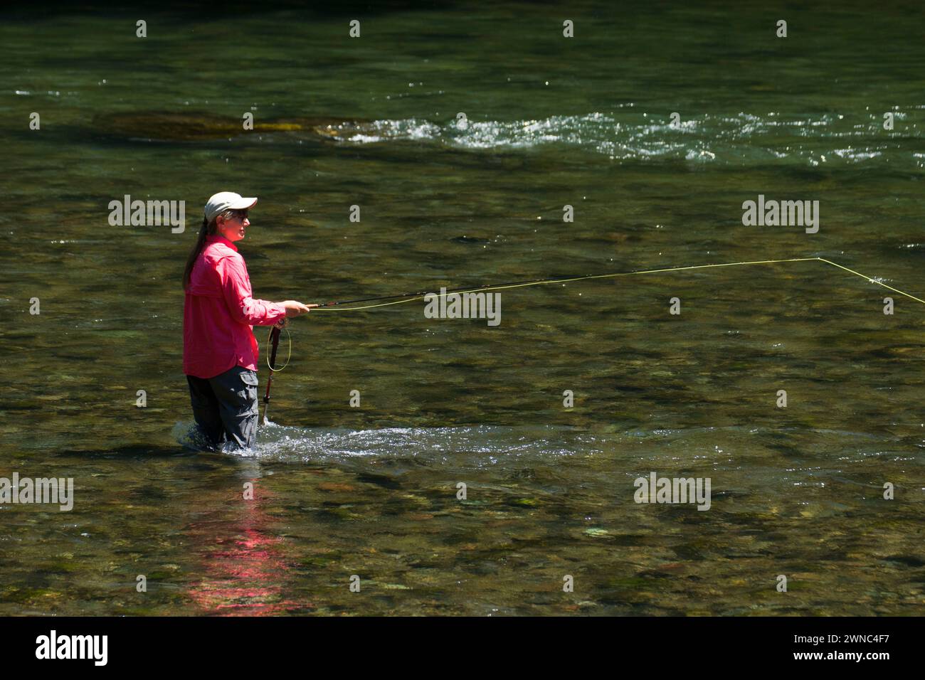 Fly-fishing on the North Santiam River, Packsaddle County Park, Marion ...