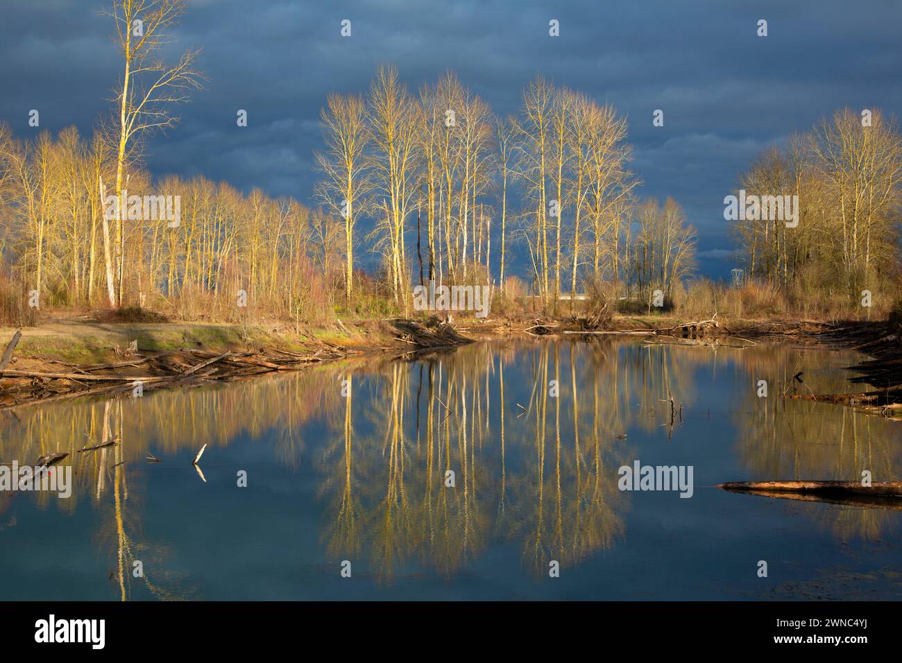 Wildlife pond, St Louis Ponds Wildlife Area, Oregon Stock Photo - Alamy