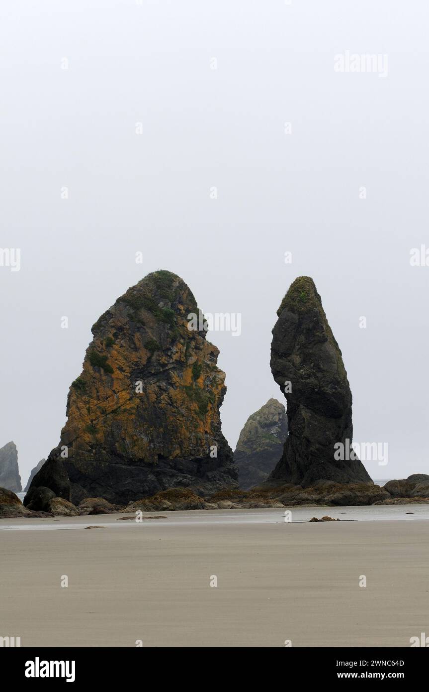 Point of Arches at Shi Shi Beach, Olympic National Park, Washington ...