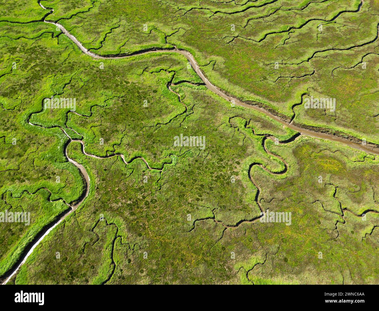 Aerial view of tidal channels and gullies, Saeftinge, The Netherlands ...