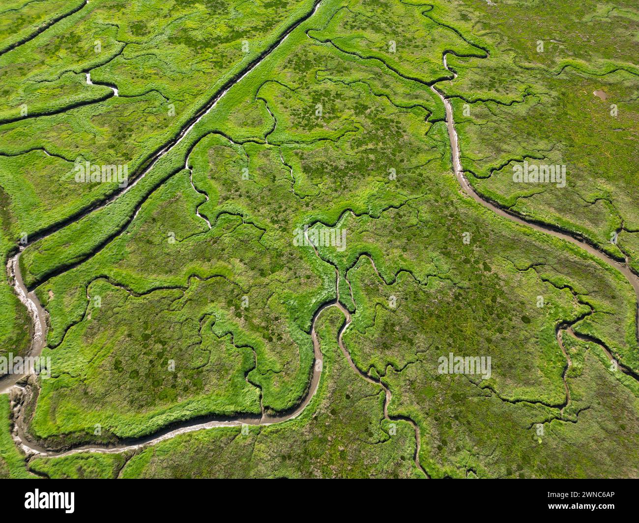 Aerial view of tidal channels and gullies, Saeftinge, The Netherlands ...