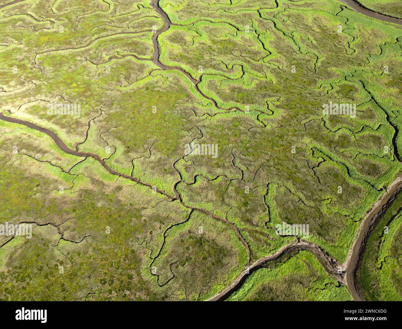 Aerial view of tidal channels and gullies, Saeftinge, The Netherlands ...