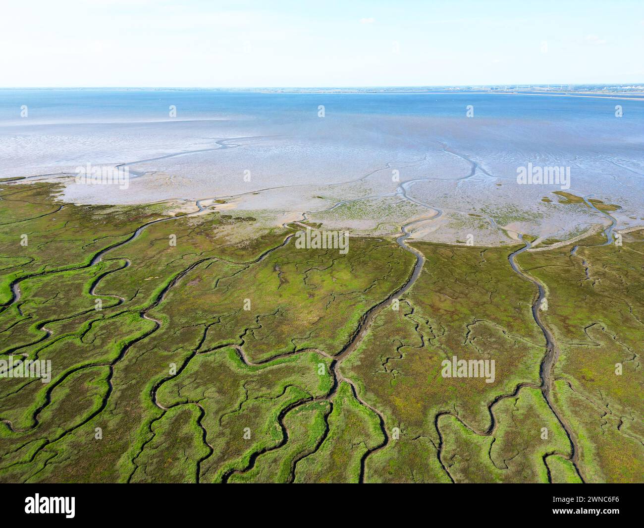 Aerial view of tidal channels and gullies, Saeftinge, The Netherlands ...
