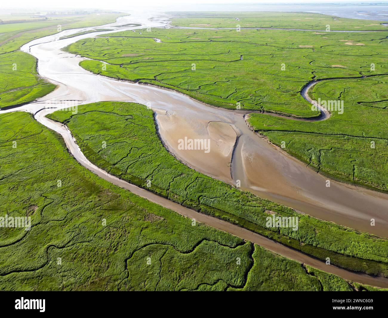 Aerial view of tidal channels and gullies, Saeftinge, The Netherlands ...