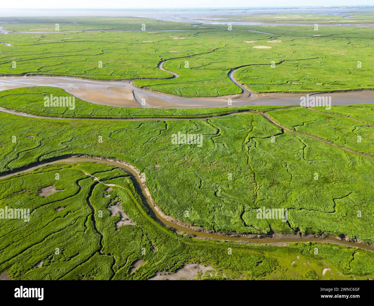Aerial view of tidal channels and gullies, Saeftinge, The Netherlands ...