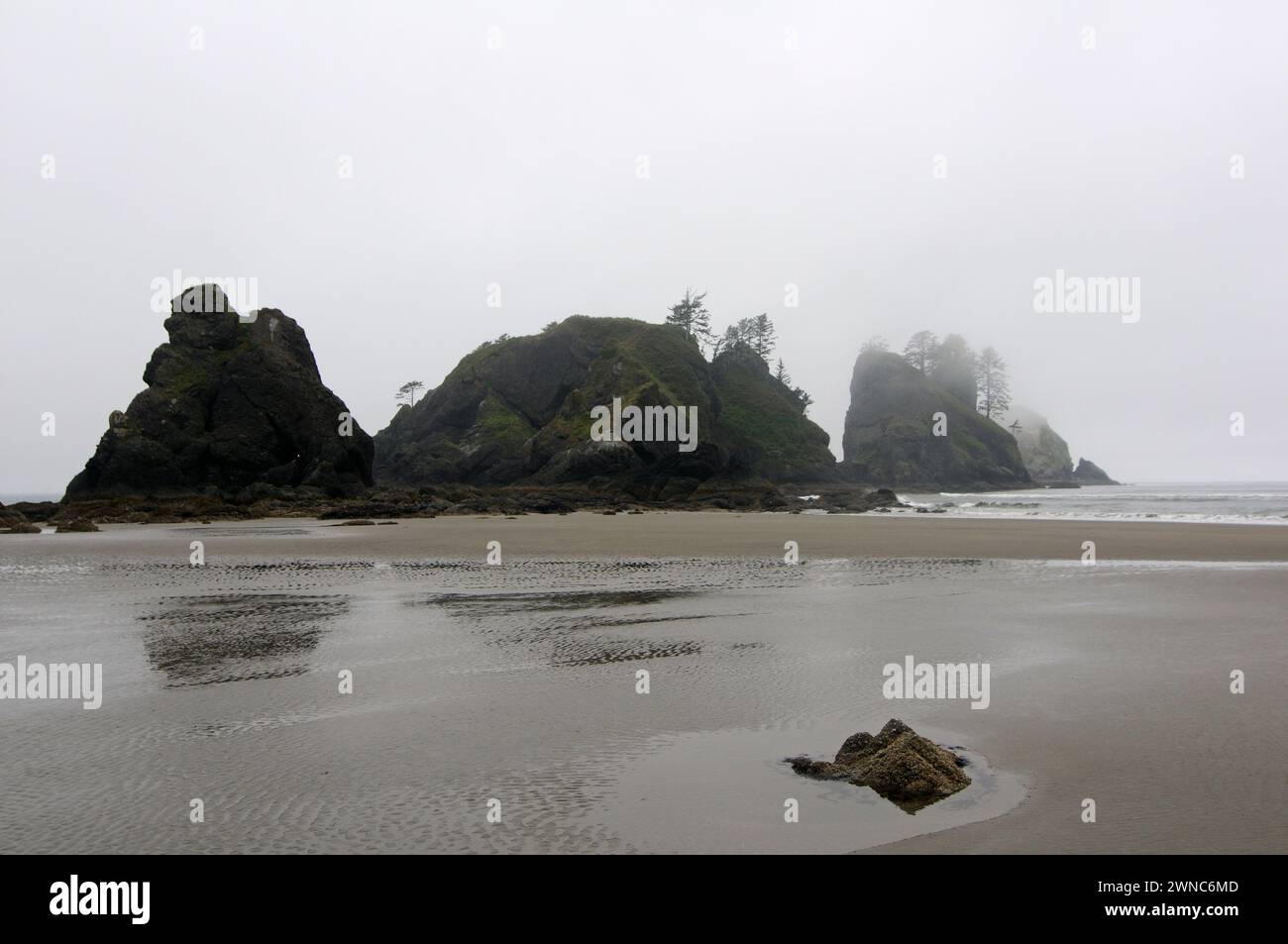 Ozette beach hi-res stock photography and images - Alamy