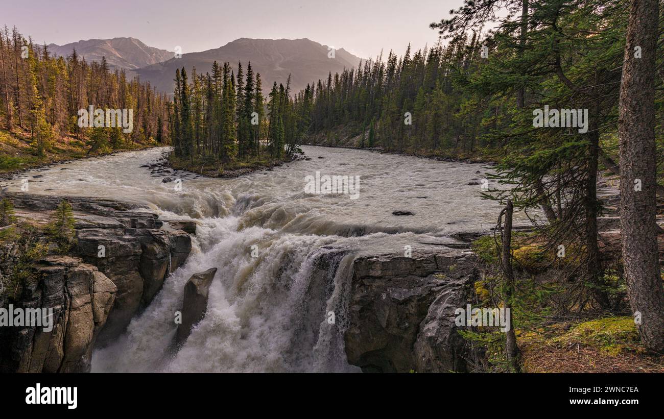 Sunwapta Falls in the stunning Canadian Rockies at sunrise in ...