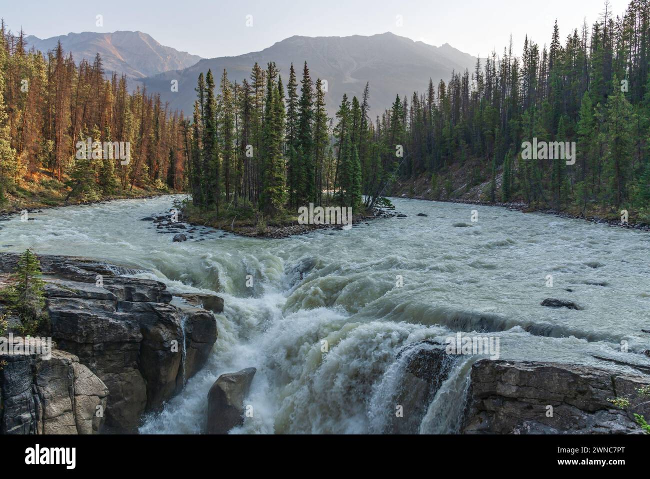Sunwapta Falls in the stunning Canadian Rockies at sunrise in ...