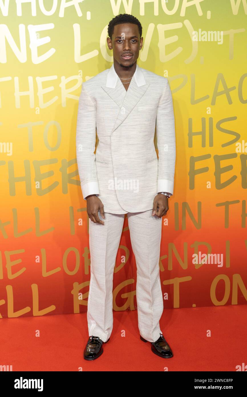 Celeb guests attend the UK Premiere of Bob Marley, One Love Featuring ...