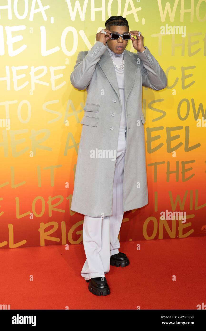 Celeb guests attend the UK Premiere of Bob Marley, One Love Featuring ...
