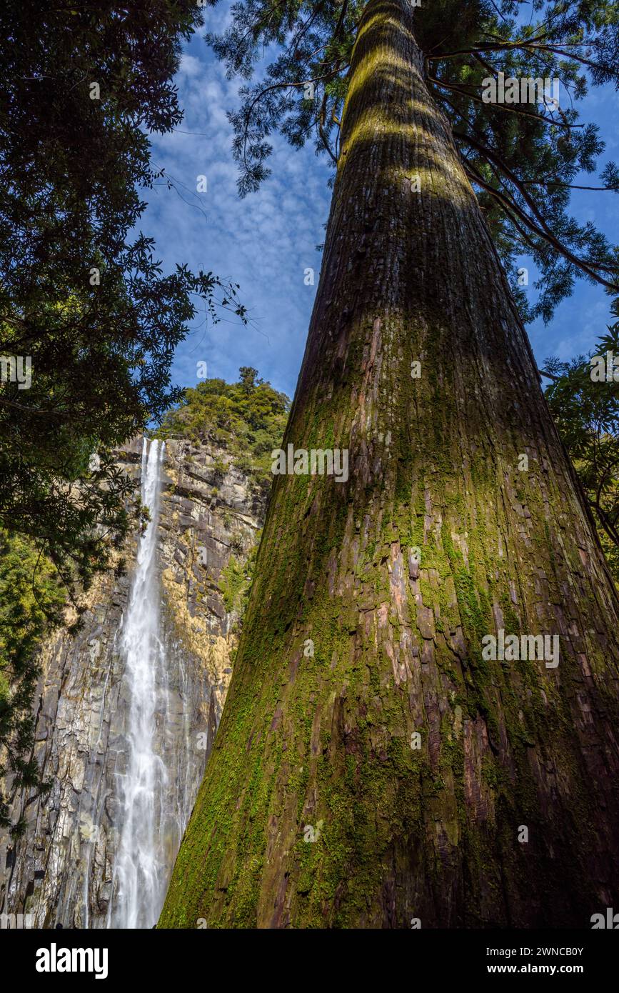Nachi Falls Nachi no Taki in Nachikatsuura, Wakayama Prefecture of ...