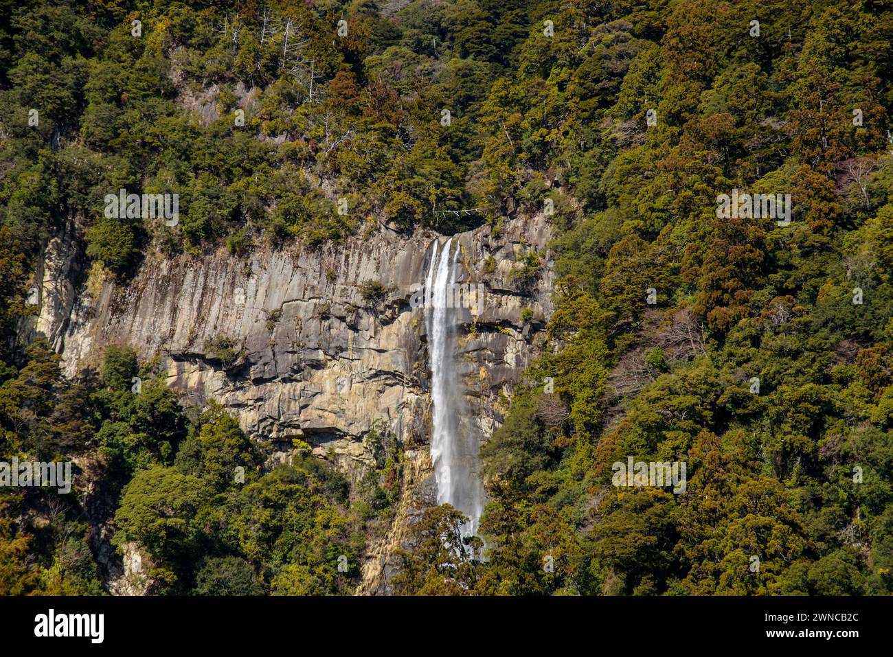 Nachi Falls Nachi no Taki in Nachikatsuura, Wakayama Prefecture of ...