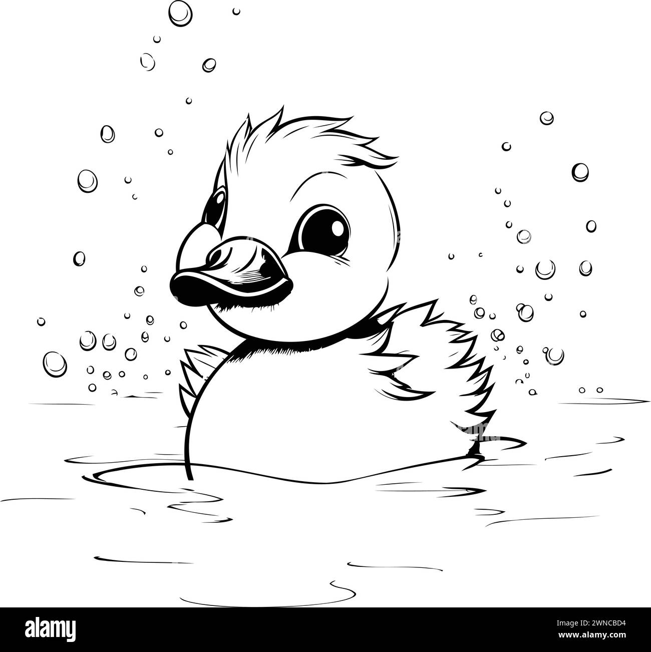 Little duckling Black and White Stock Photos & Images - Alamy