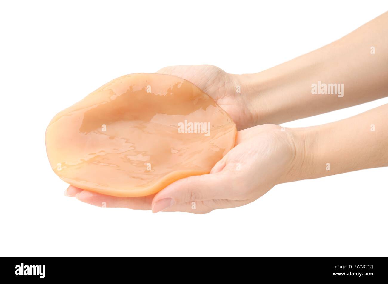 Making kombucha. Woman holding Scoby fungus on white background ...