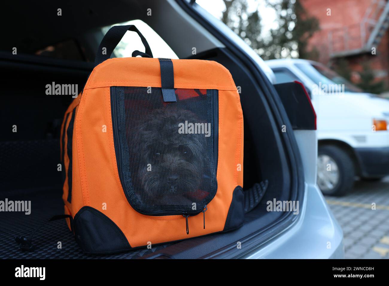 Cute dog in pet carrier travelling by car. Safe transportation Stock ...