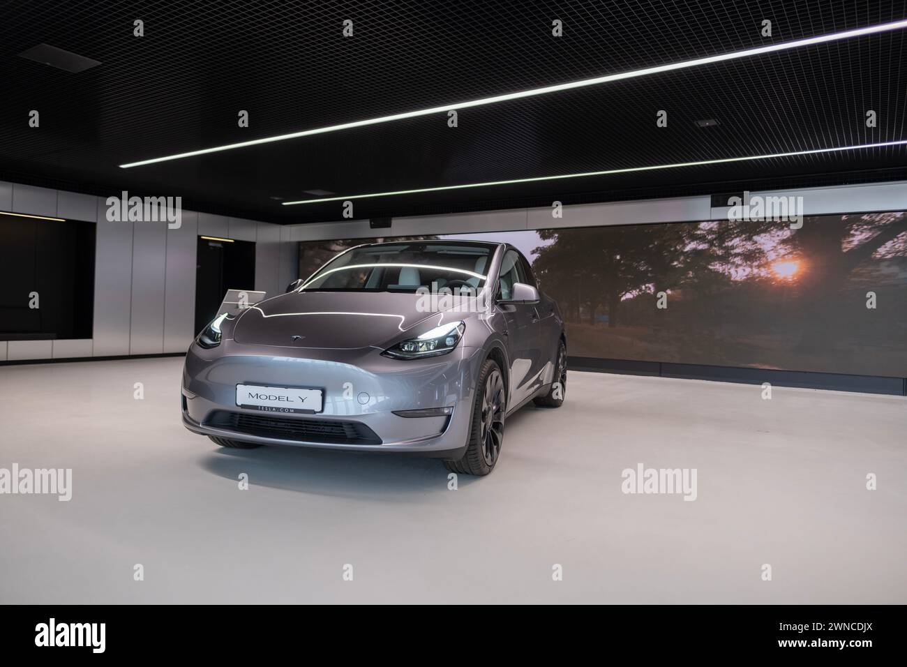 Tesla Model Y performance quicksilver battery electric mid-size ...