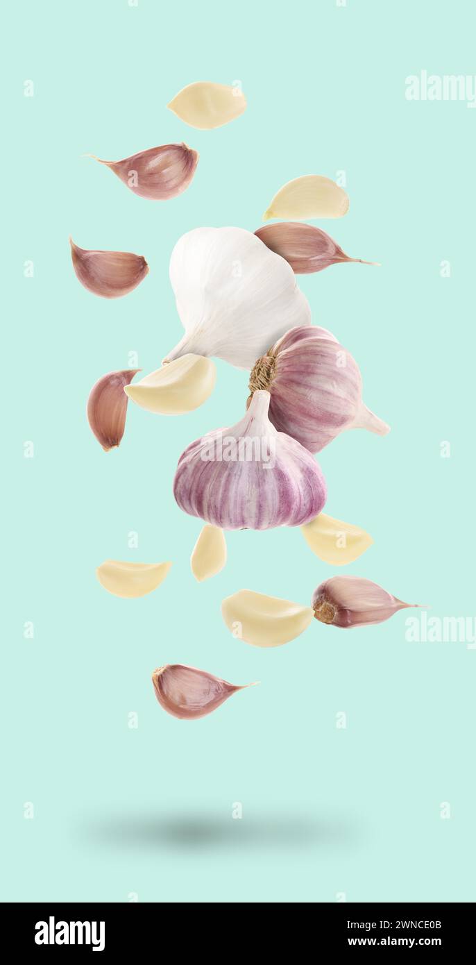 Fresh garlic falling on light blue background Stock Photo - Alamy