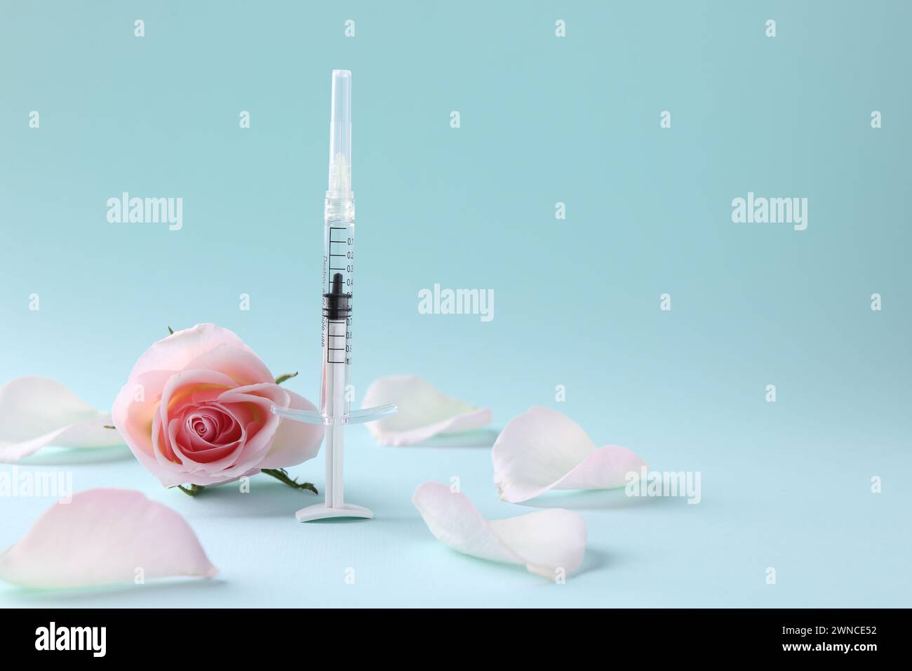 Cosmetology. Medical syringe, rose flower and petals on light blue ...