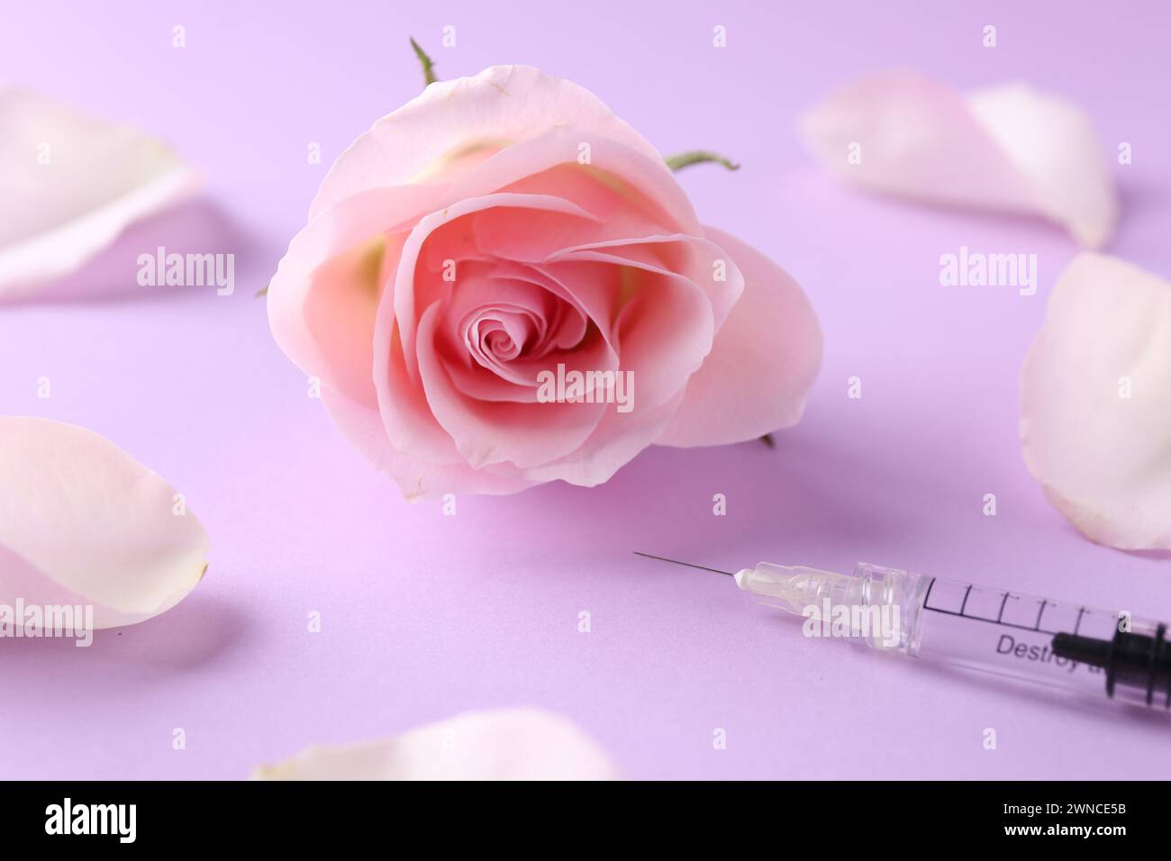 Cosmetology. Medical syringe, rose flower and petals on pink background ...