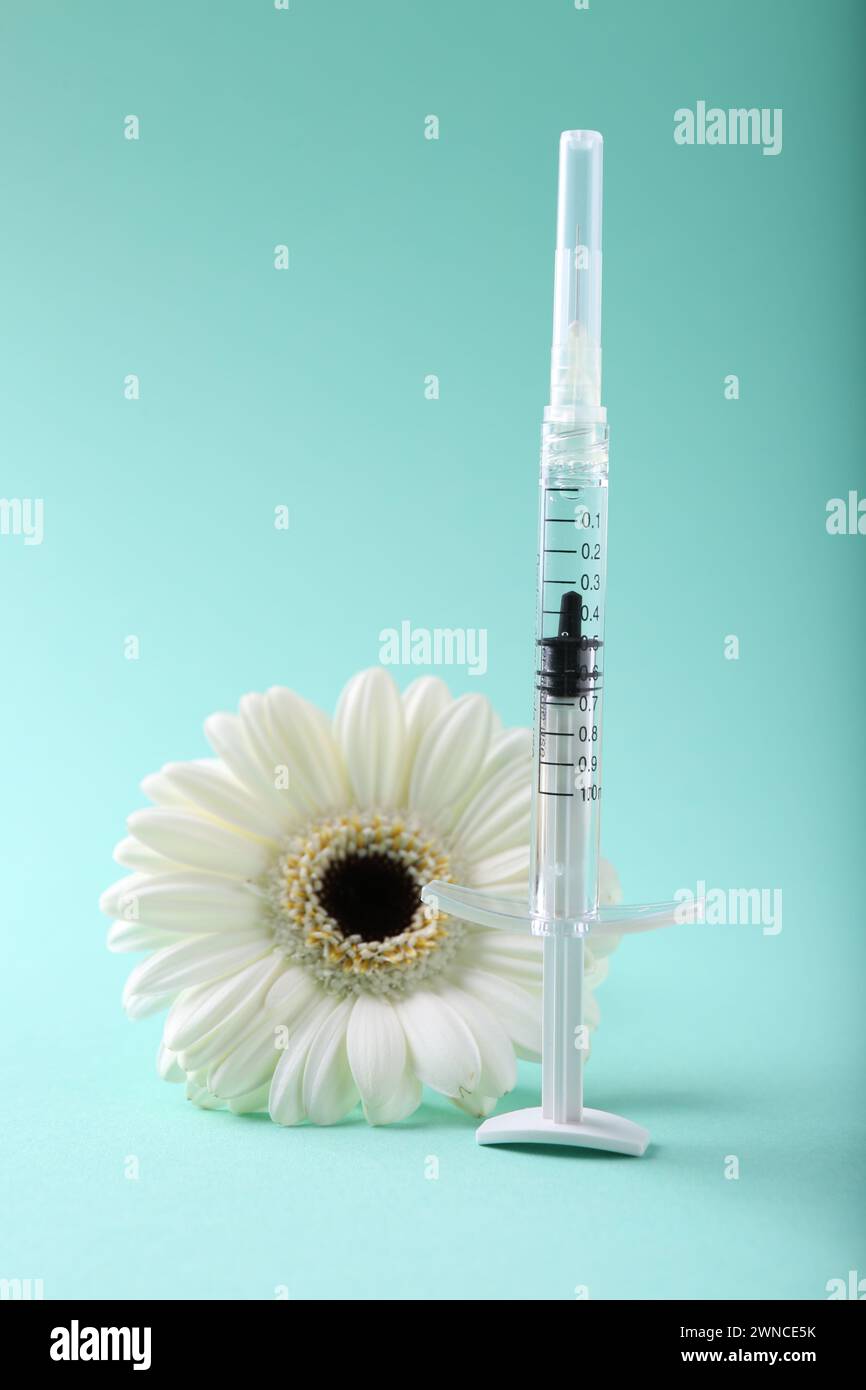 Cosmetology. Medical syringe and gerbera flower on turquoise background ...