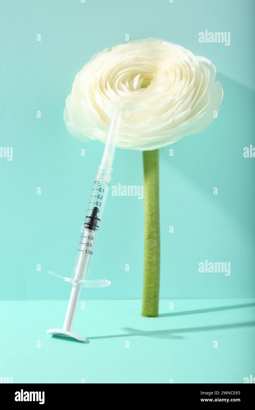 Cosmetology. Medical syringe and ranunculus flower on turquoise ...
