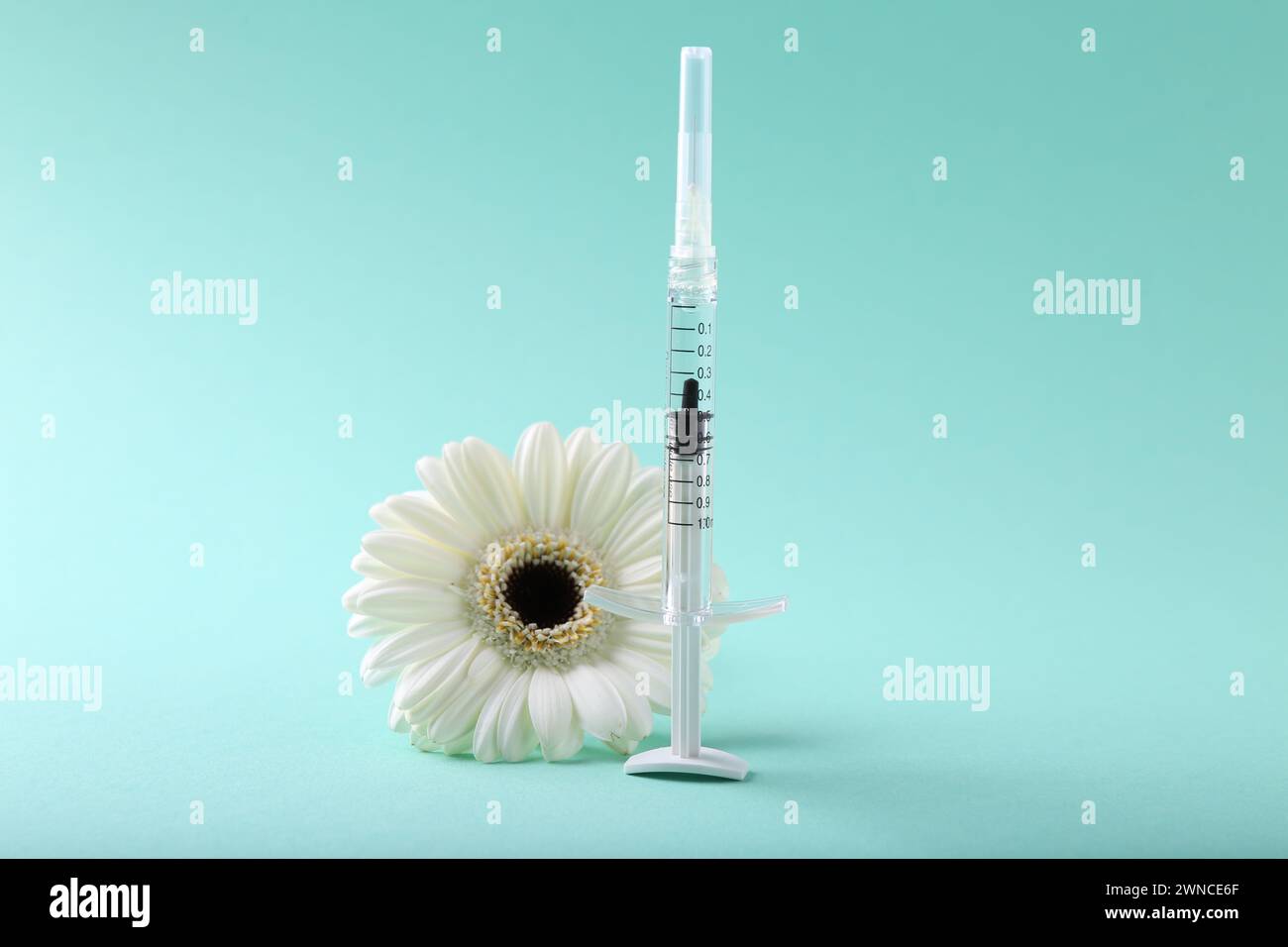 Cosmetology. Medical syringe and gerbera flower on turquoise background ...