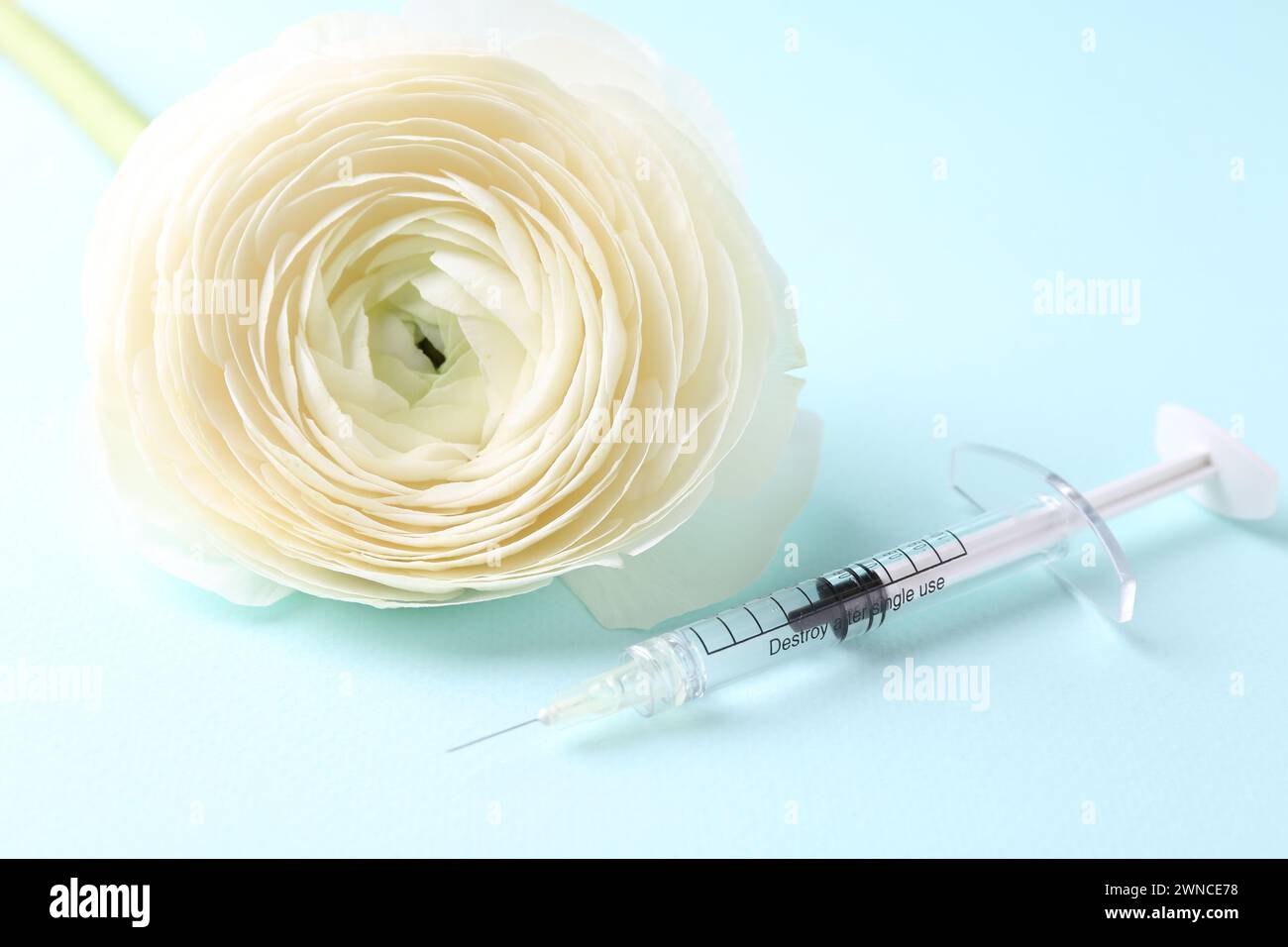Cosmetology. Medical syringe and ranunculus flower on light blue ...