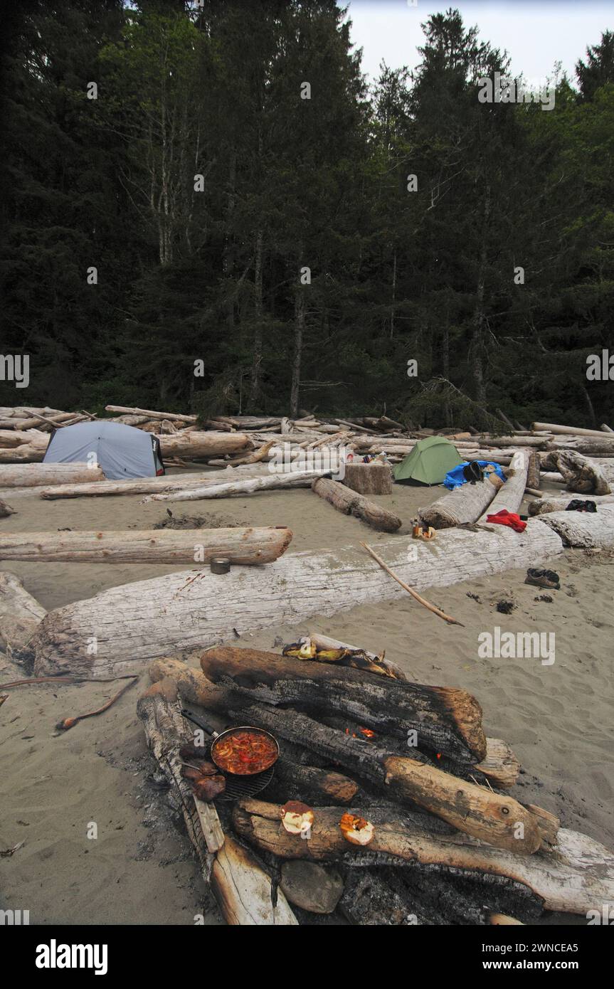 camping on Shi Shi Beach Olympic National Park Washington State USA ...