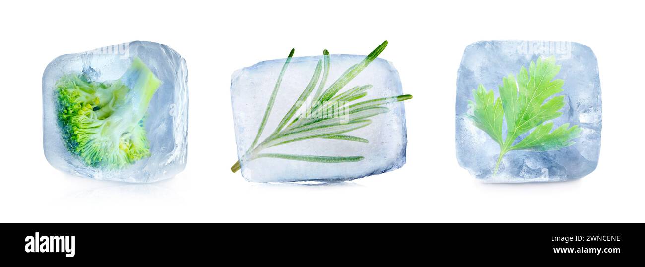 Frozen food. Broccoli, rosemary and parsley in ice cubes isolated on ...