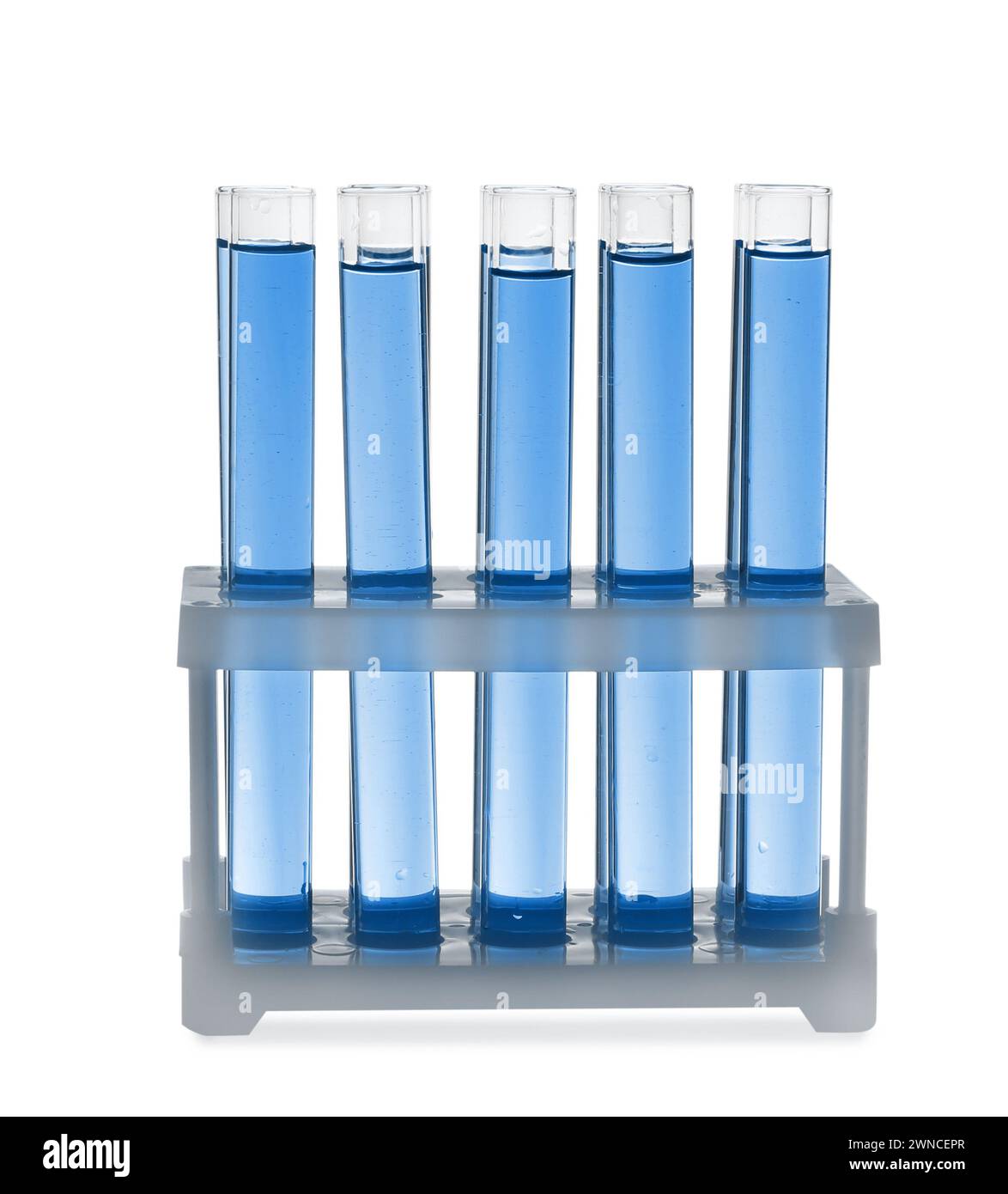 Test tubes with blue liquid in rack isolated on white Stock Photo - Alamy