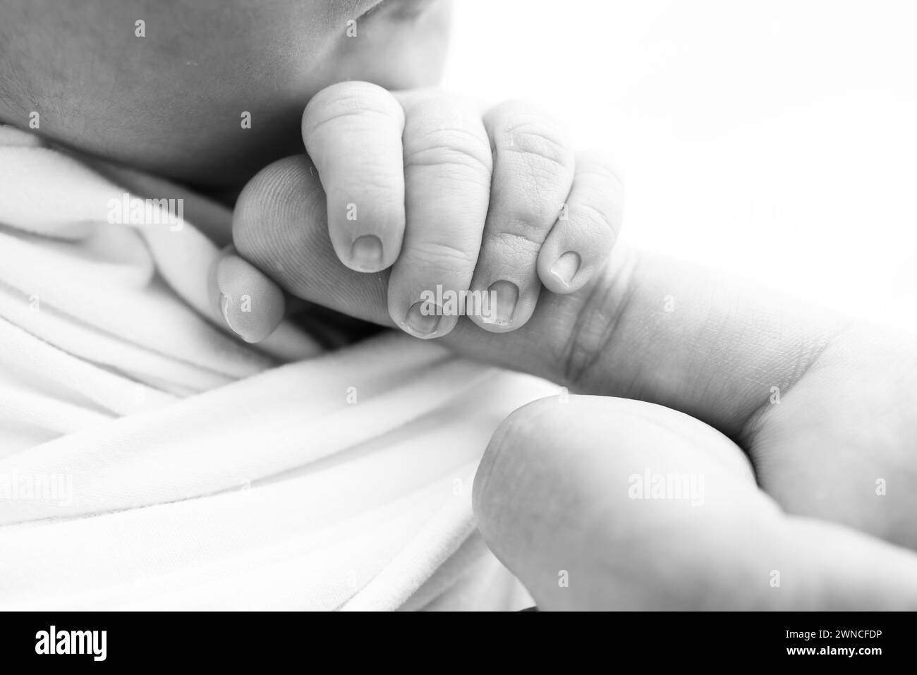 Close-up of baby's small hand, head, ear and palm of mother Stock Photo ...