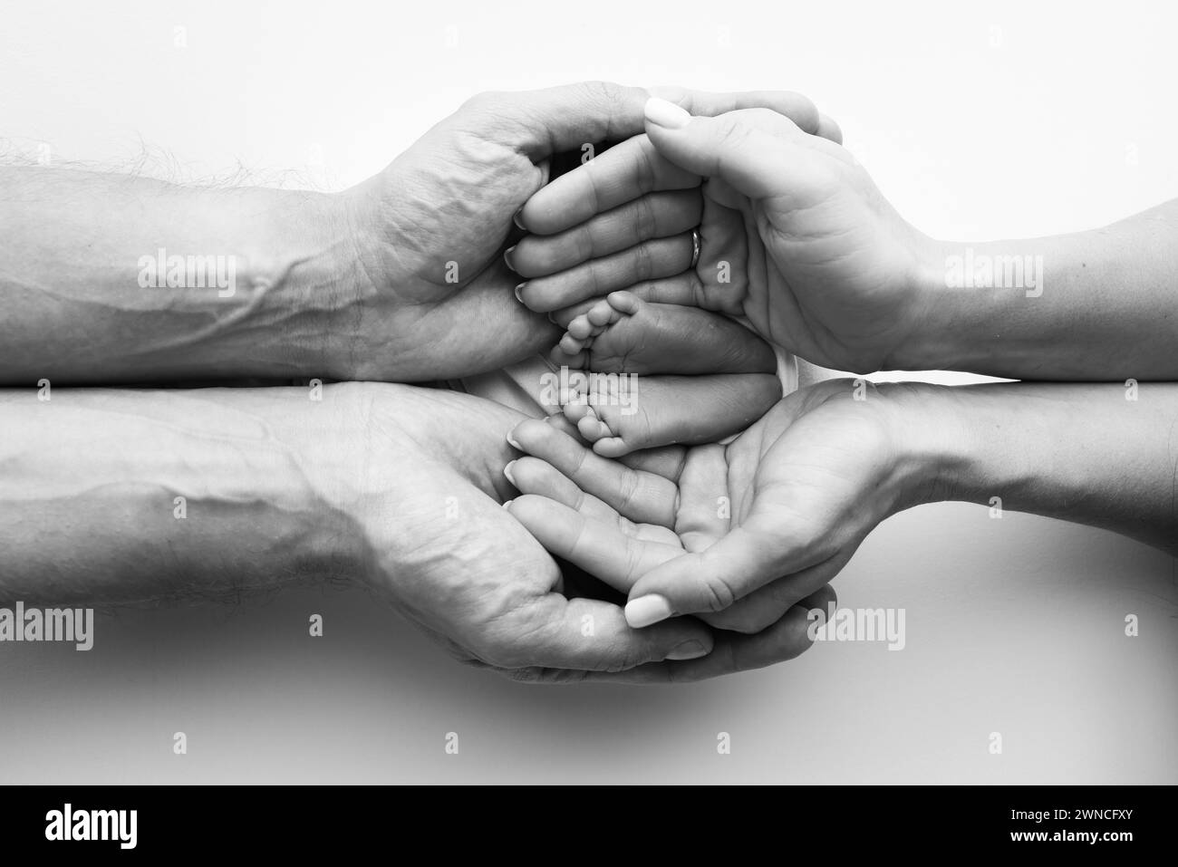 The palms of the father, the mother are holding the foot of the newborn ...