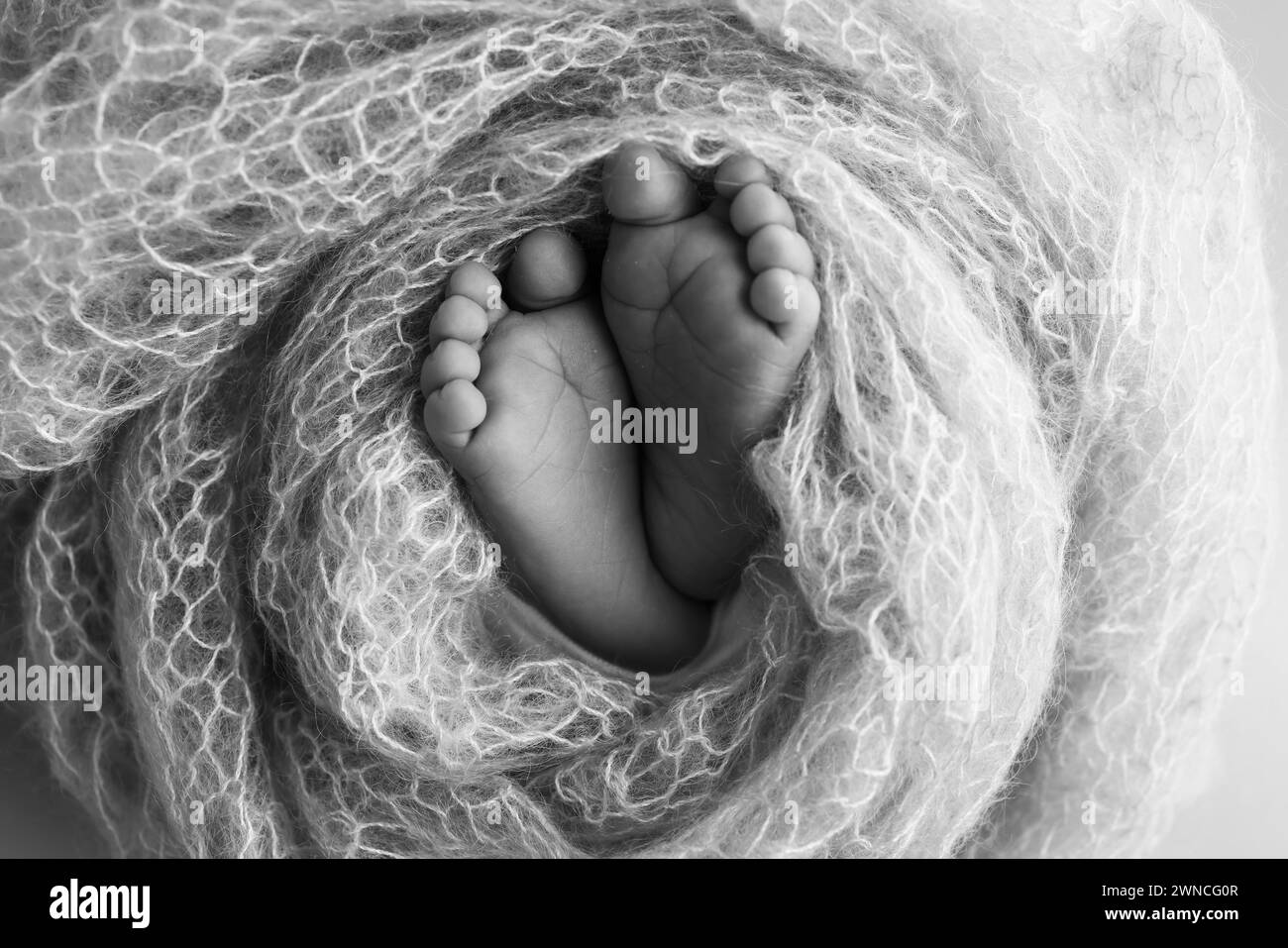 The tiny foot of a newborn baby. Soft feet of a new born in a wool ...