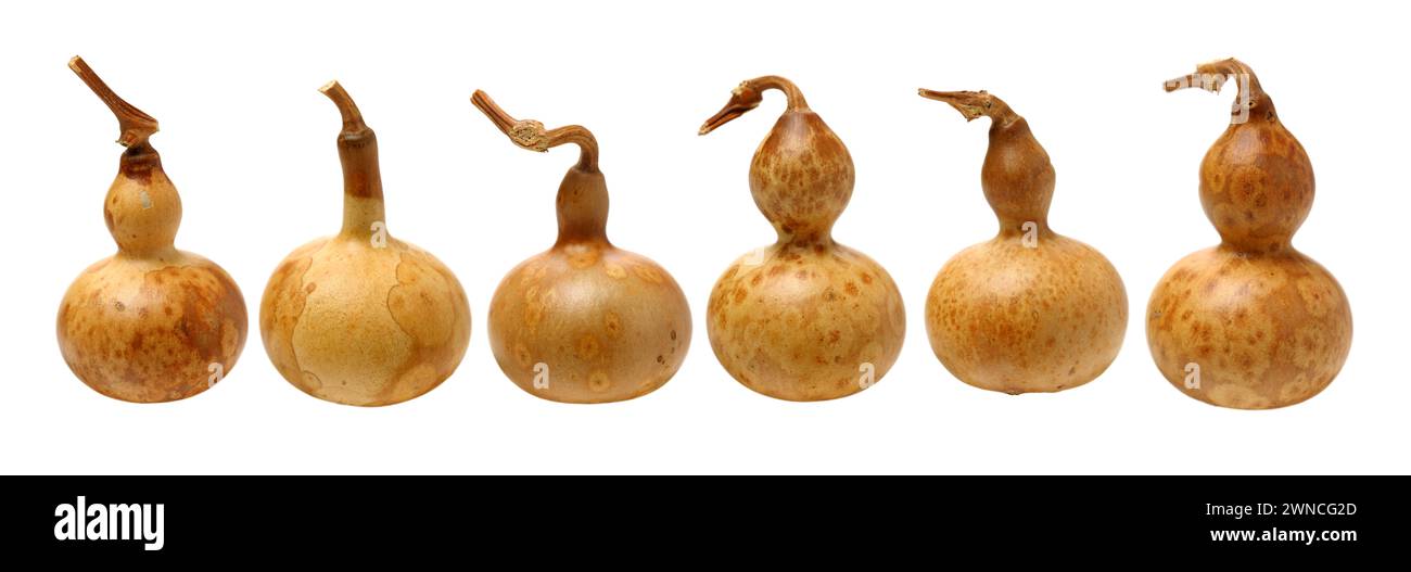 Calabash isolated on white background Stock Photo - Alamy