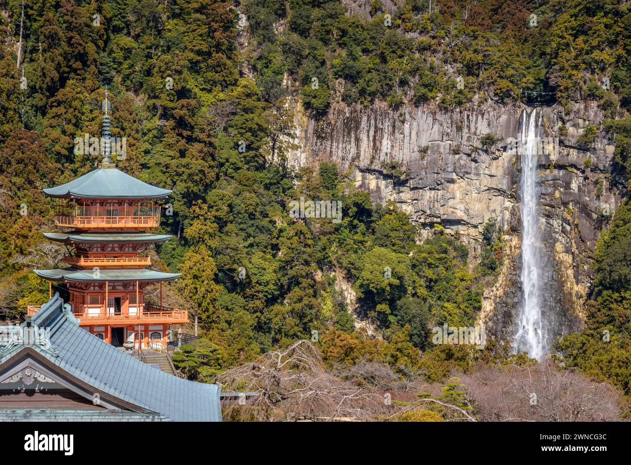 Three story pagoda of Seiganto-ji Tendai Buddhist temple in Wakayama ...